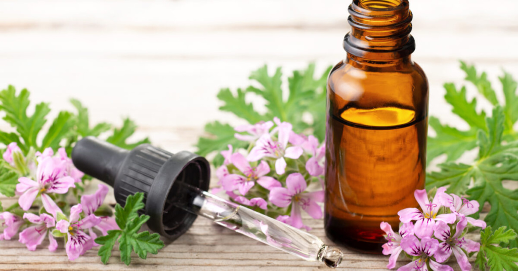 Αρμπαρόριζα ή λουκουμόχορτο: Οι ευεργετικές της ιδιότητες, τρόποι ...