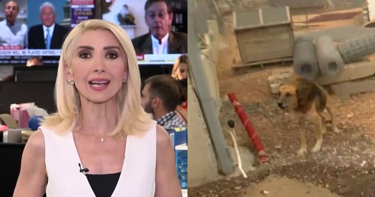 «Με συγχωρείτε για την ένταση»: Η Μίνα Καραμήτρου είπε στον αέρα του ...