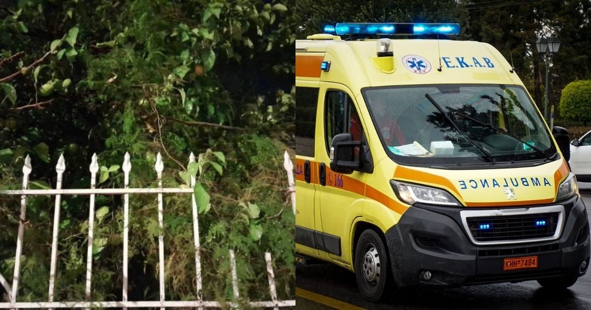 Έκλαιγαν οι πυροσβέστες: Νεκρός ο άνδρας που εγκλωβίστηκε σε κάγκελα ...