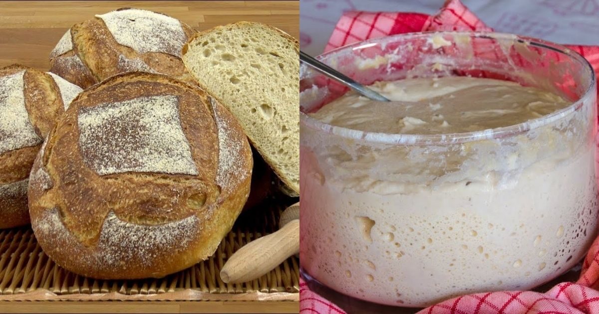 Όπως παλιά: Πως φτιάχνουμε ζυμωτό ψωμί και προζύμι – Με αυτόν τον τρόπο ...